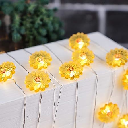 Amazon.com : FLCSIed 2 AA Batteries Powered 20 LED Silver String Fairy ...