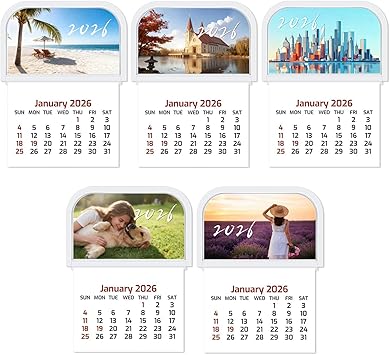 Amazon.com: 2026 Mini Stick on Calendar Small Monthly Peel and Stick ...