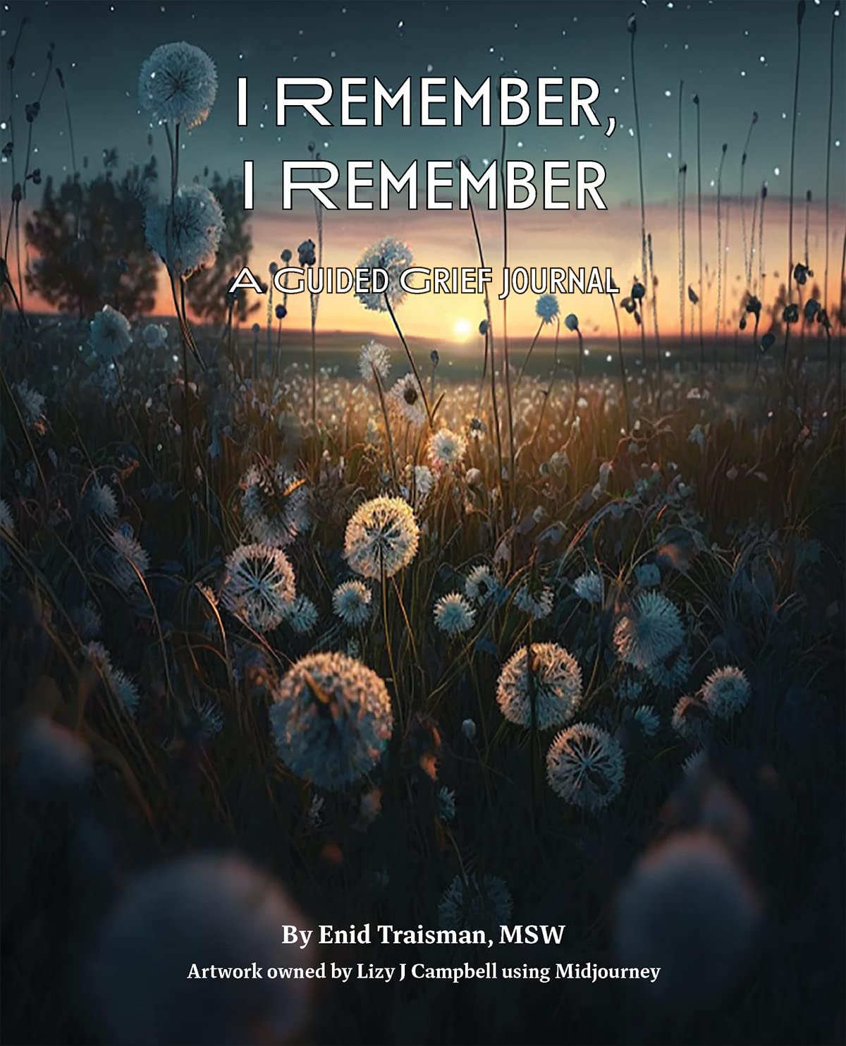 I remember, I remember: A Guided Grief Journal: Enid Samuel Traisman ...