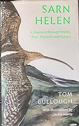Sarn Helen: A Journey Through Wales, Past, Present and Future: Amazon ...