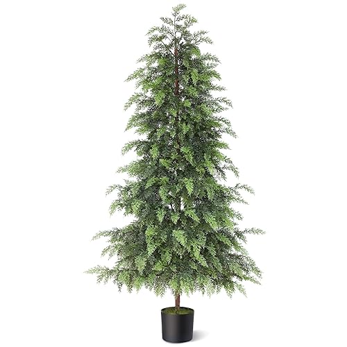 Landscaping Under Pine Trees: Your Guide To A Shade-Loving Oasis