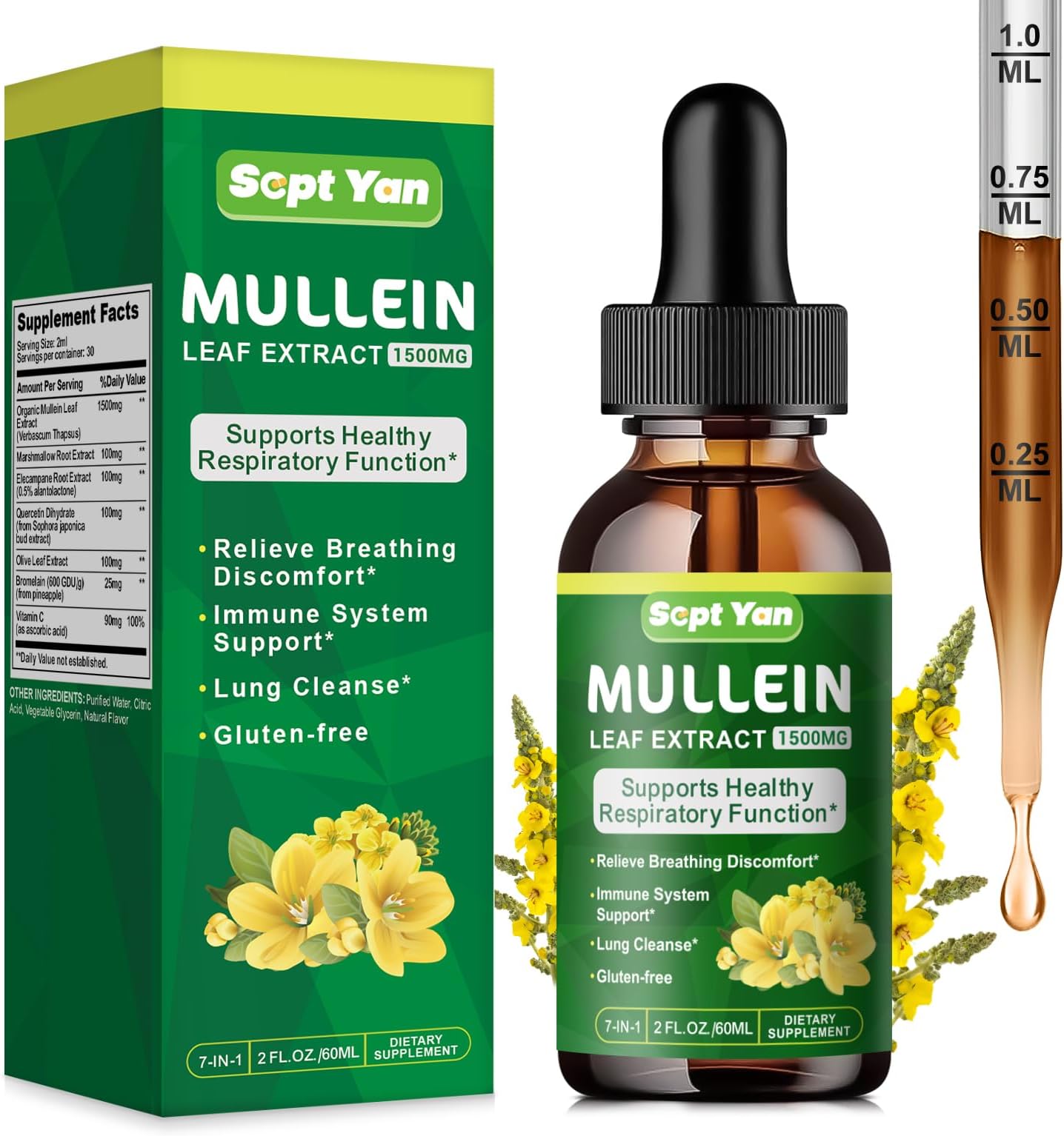 Amazon.com: (2 Pack) Mullein Drops for Lungs - 14000mg Mullein Leaf ...
