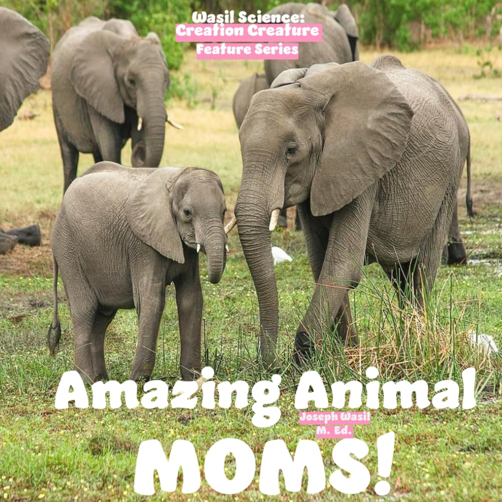 Wasil Science: Creation Creature Features- Amazing Animals Moms!: Wasil ...