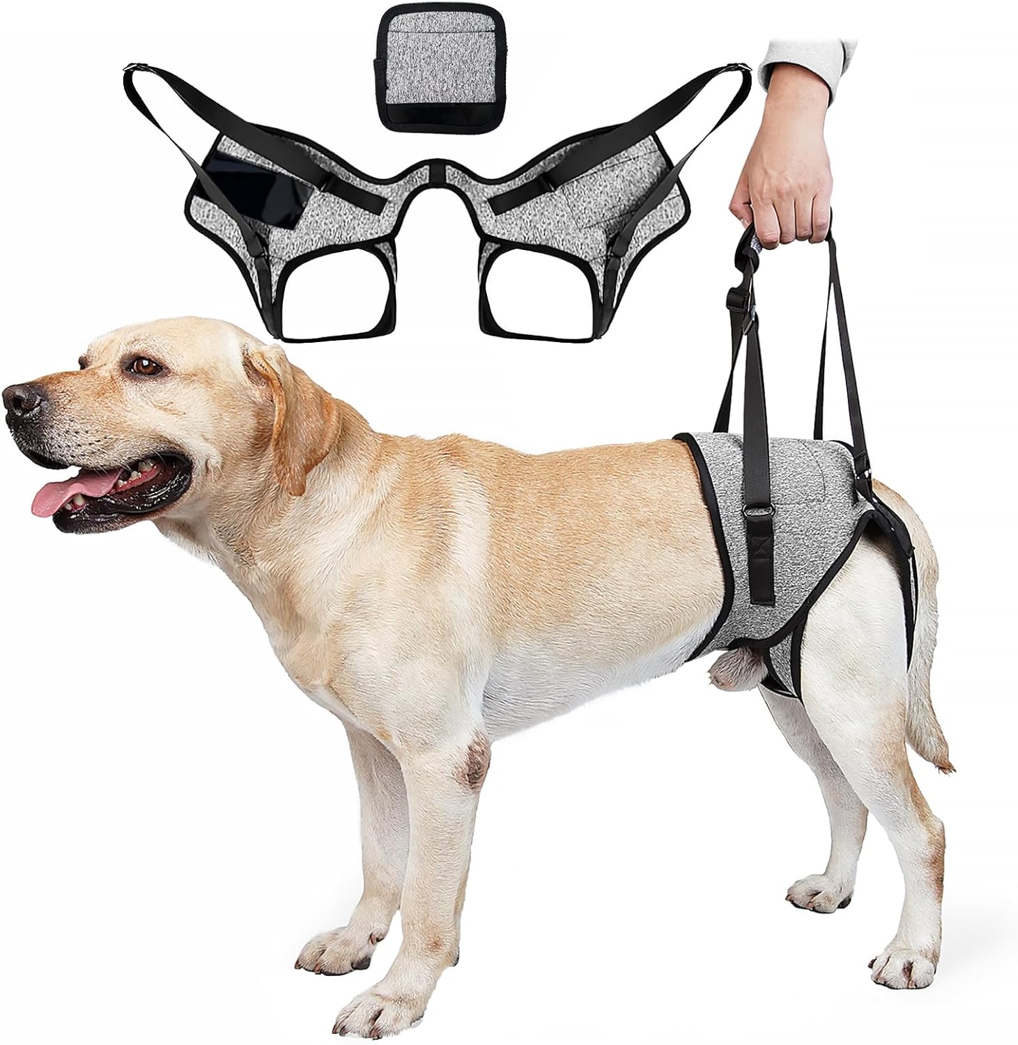 Dog Lift Harness for Back Legs, Dog Support Sling, Adjustable Dogs Leg ...