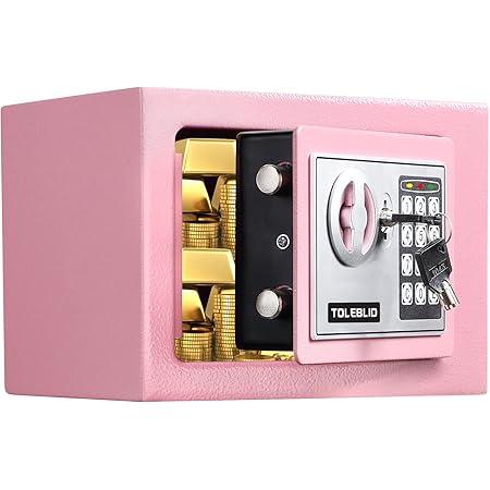 Voncabay Cute Money Safe Box for Home with Sensor Light & Fireproof ...