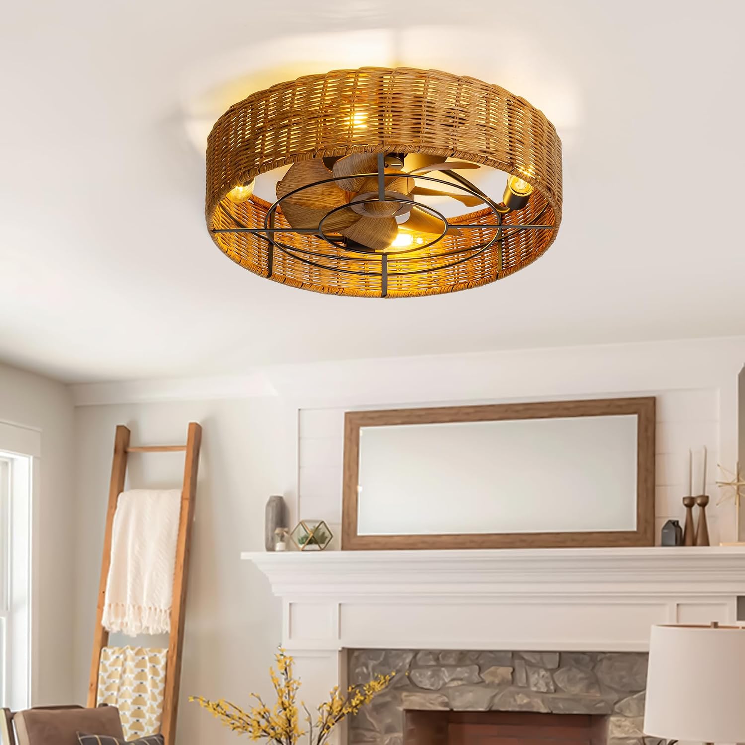 Amazon.com: Breezary 19" Small Caged Ceiling Fans with Lights Remote ...
