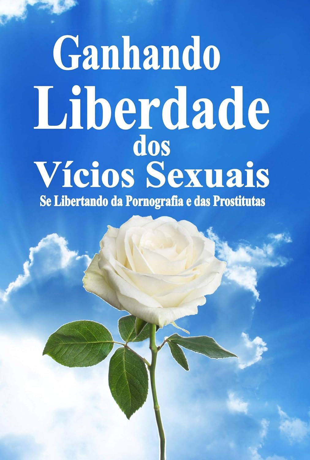 Ganhando Liberdade dos Vícios Sexuais: Se Libertando da Pornografia e ...