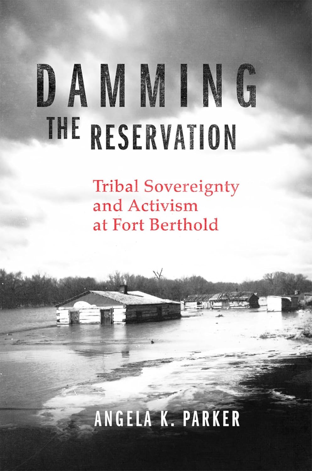 Damming the Reservation: Tribal Sovereignty and Activism at Fort ...