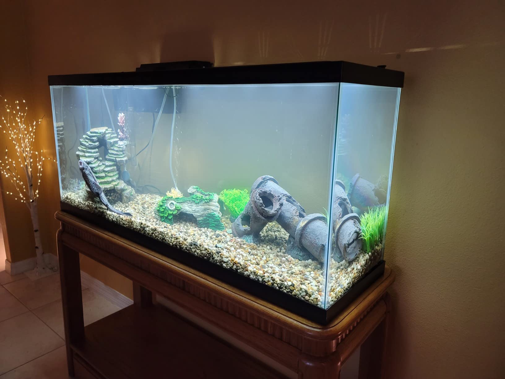 $13/mo - Finance Tetra 55 Gallon Aquarium Kit & Penn-PLAX Undergravel ...