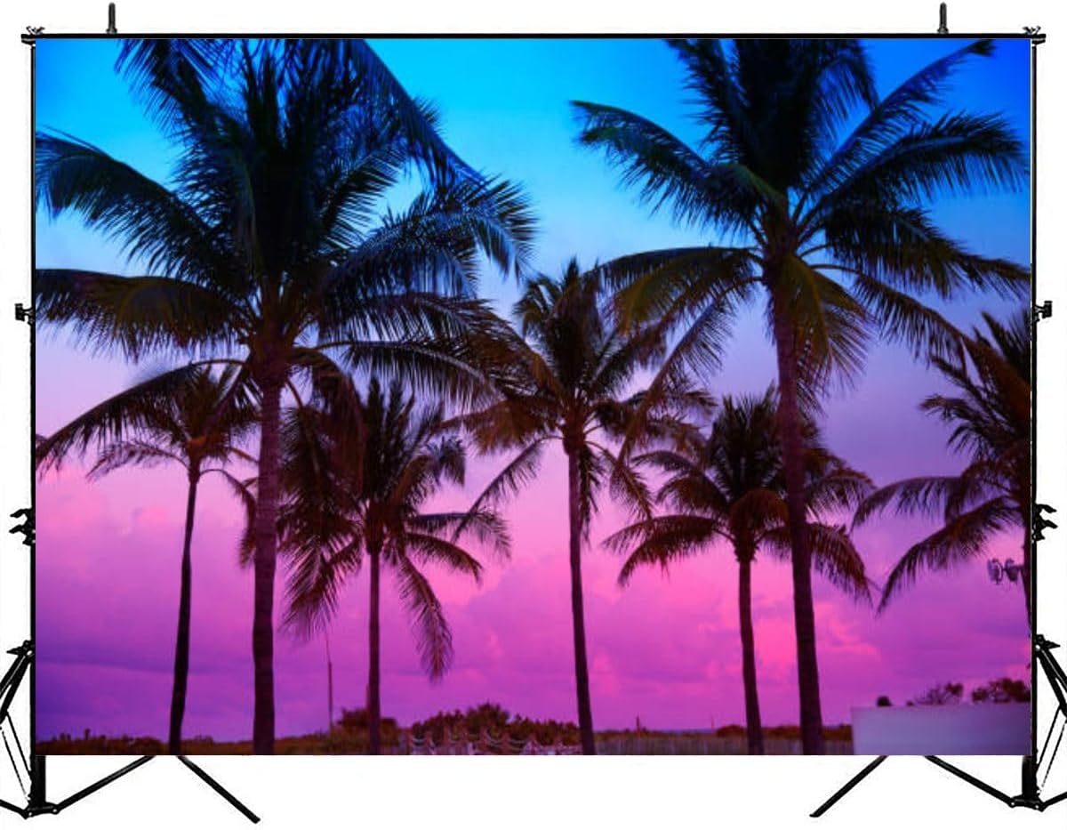 Amazon.com : ZKFETPVOW Miami Beach Sunset Palm Trees Florida ...