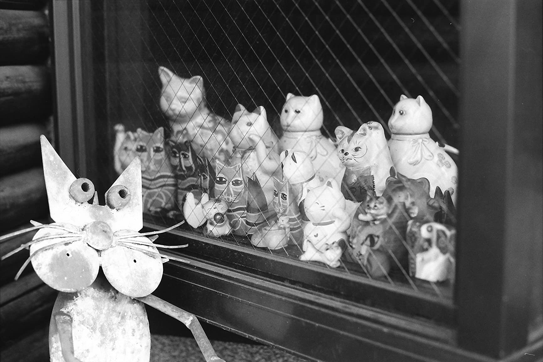 Amazon | 120 135 B＆Wフィルム暗室キット現像装置処理ツールスパイラルリールケミカルボトル付き現像タンク | フィルム現像用品 通販