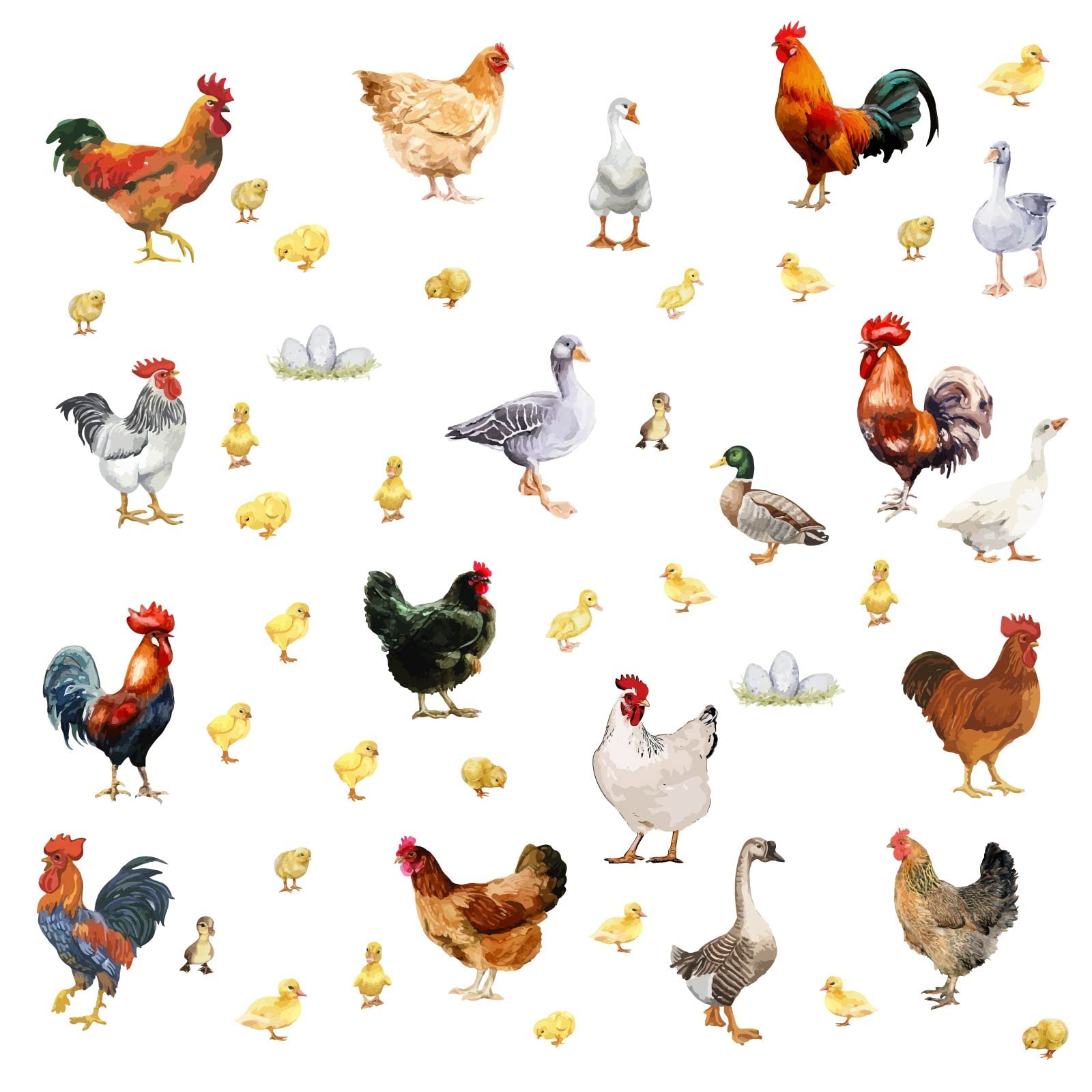 Amazon.com: PLIGREAT Farm Poultry Rooster Chickens Duck Wall Stickers ...