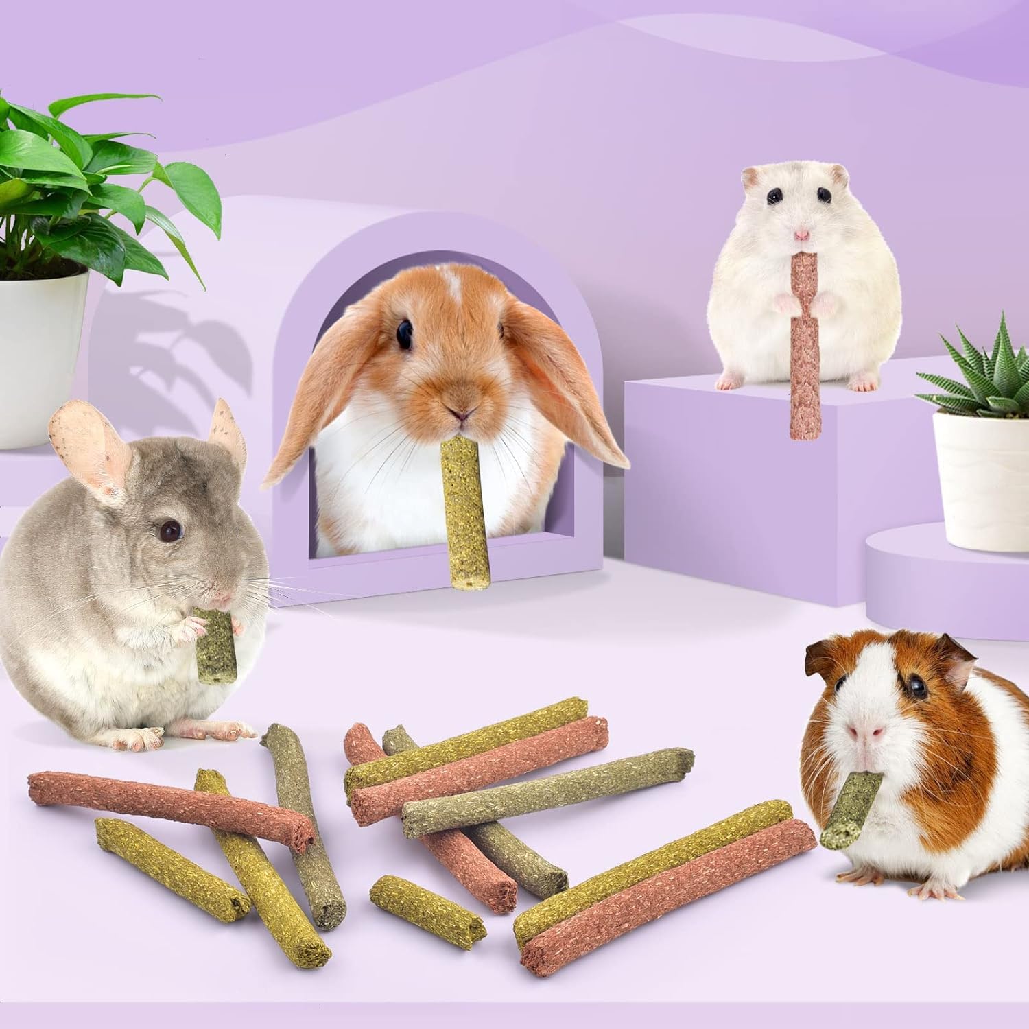 Snapklik.com : 72PCS Rabbit Chew Sticks, Mixed Natural Timothy Hay Oat ...