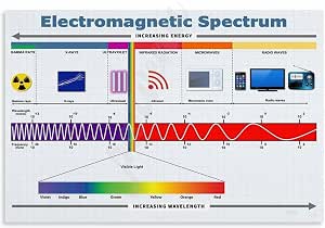 Amazon.com: Physical Science Poster Electromagnetic Spectrum Education ...