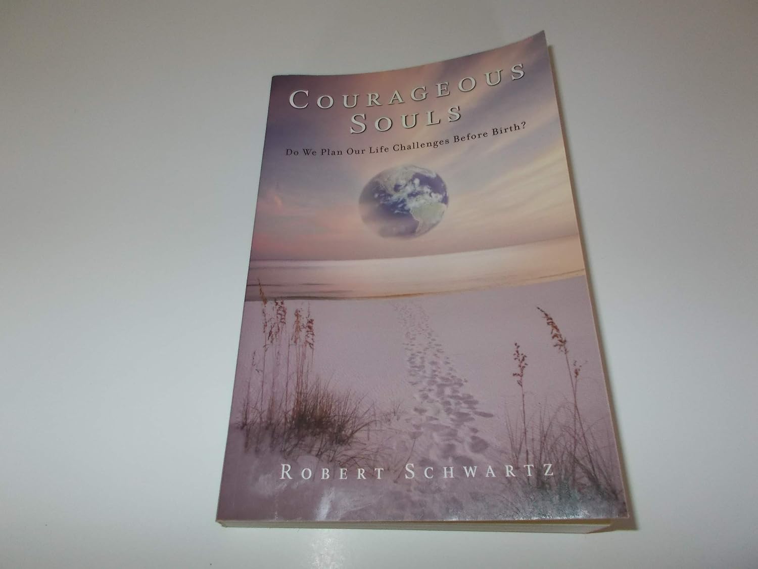 Courageous Souls: Do We Plan Our Life Challenges Before Birth ...