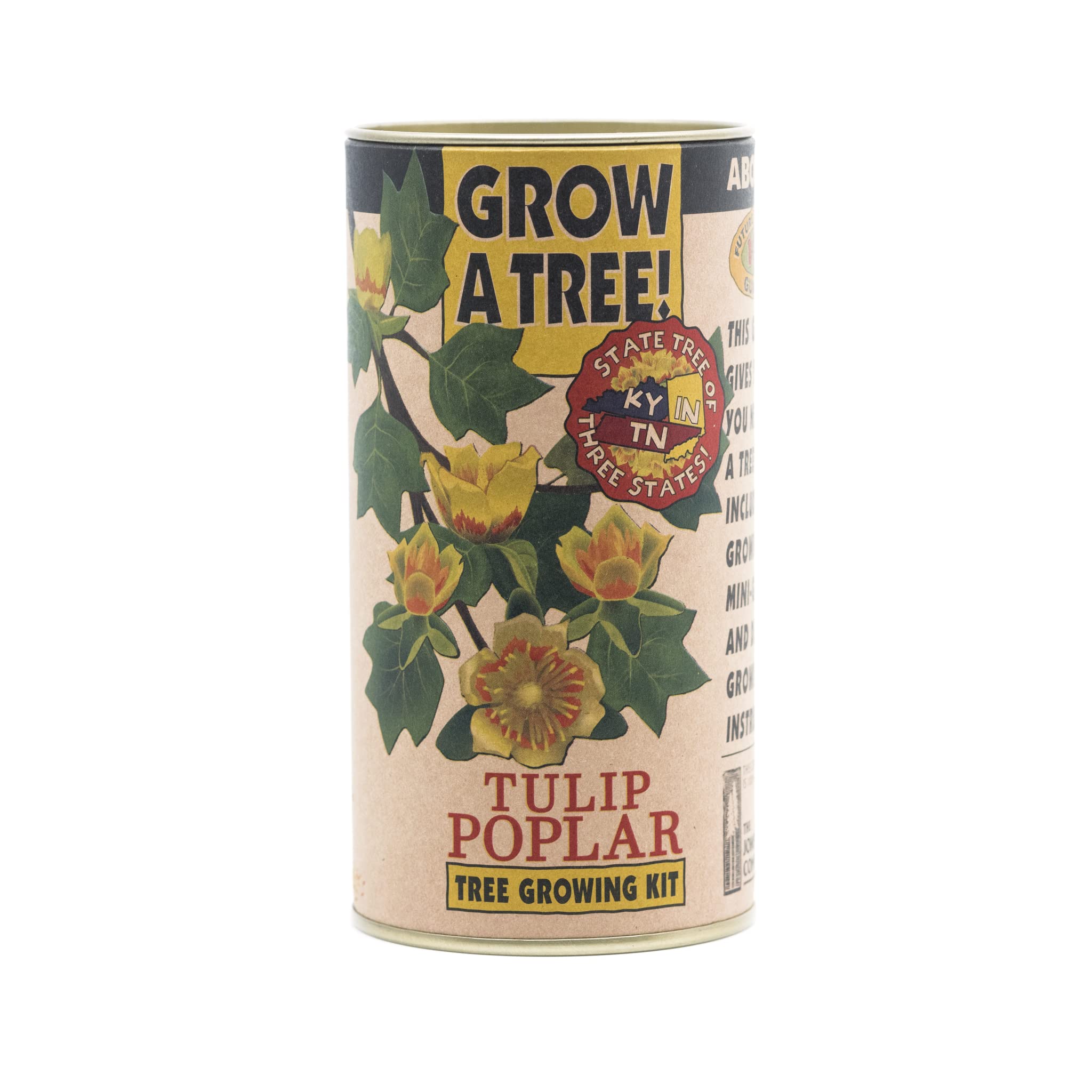 Amazon.com : Tulip Poplar | Tree Seed Grow Kit | The Jonsteen Company ...