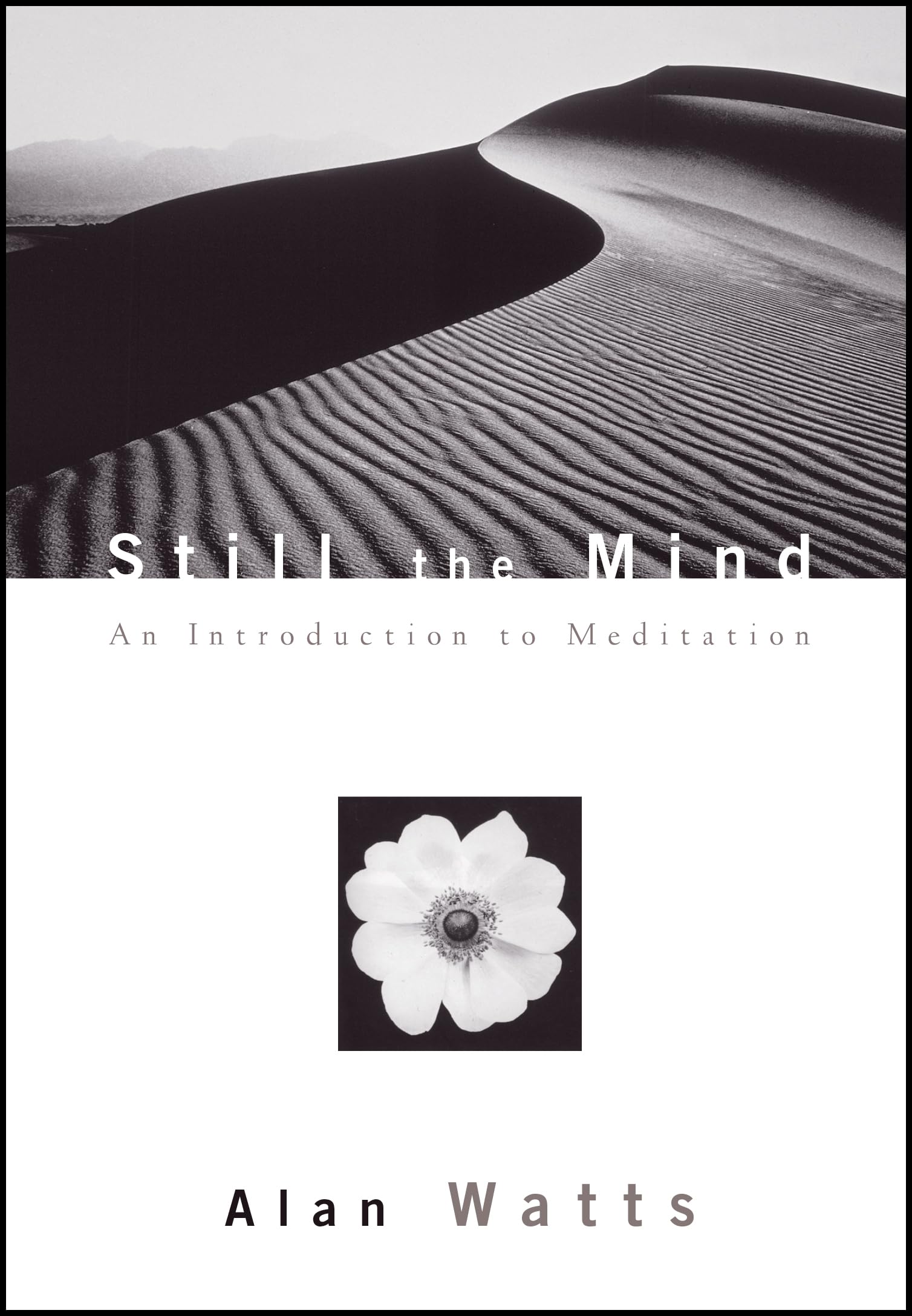 Still the Mind: An Introduction to Meditation: Watts, Alan, Watts, Mark ...
