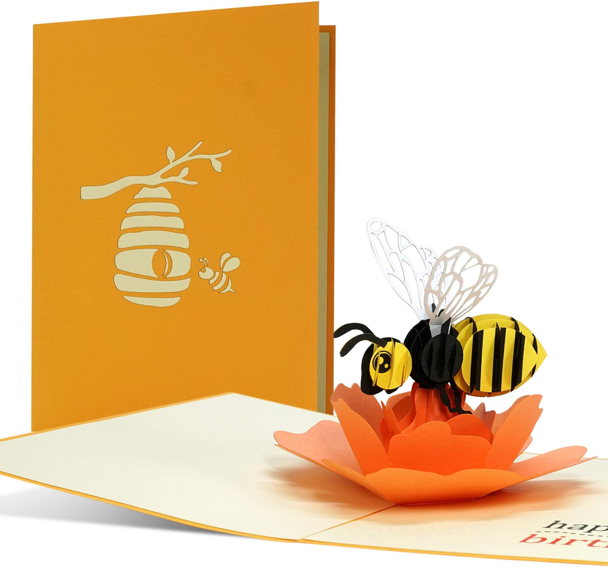 Amazon.com : Diese-Klappkarten Birthday Card HappBEE Birthday | Pop up ...