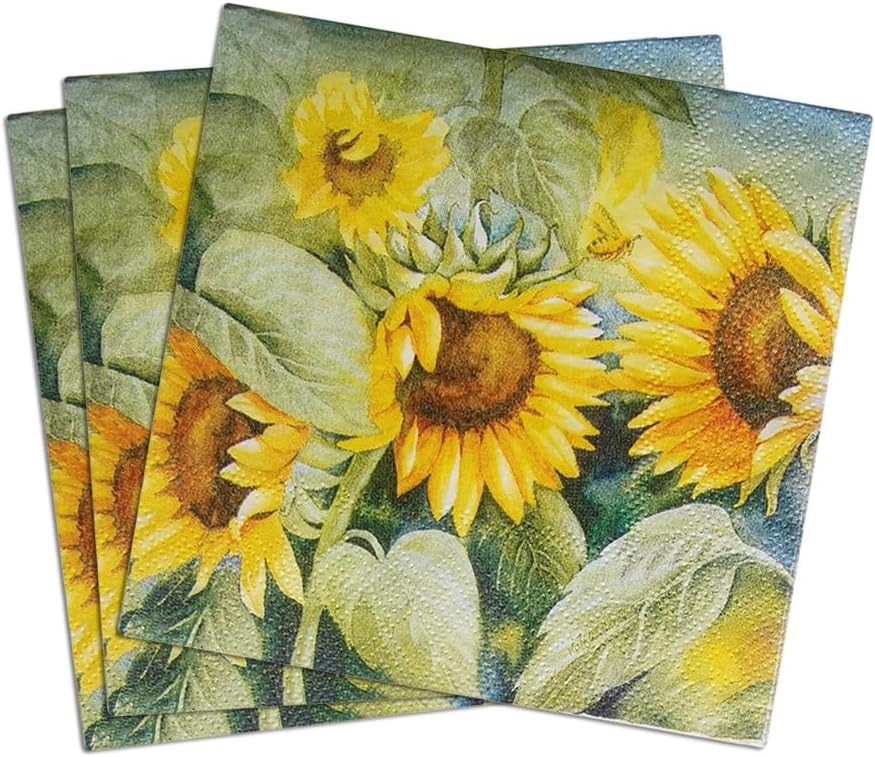 Amazon.com: Colored Paper Cocktail Napkins, 20 Count Shabby Chic ...