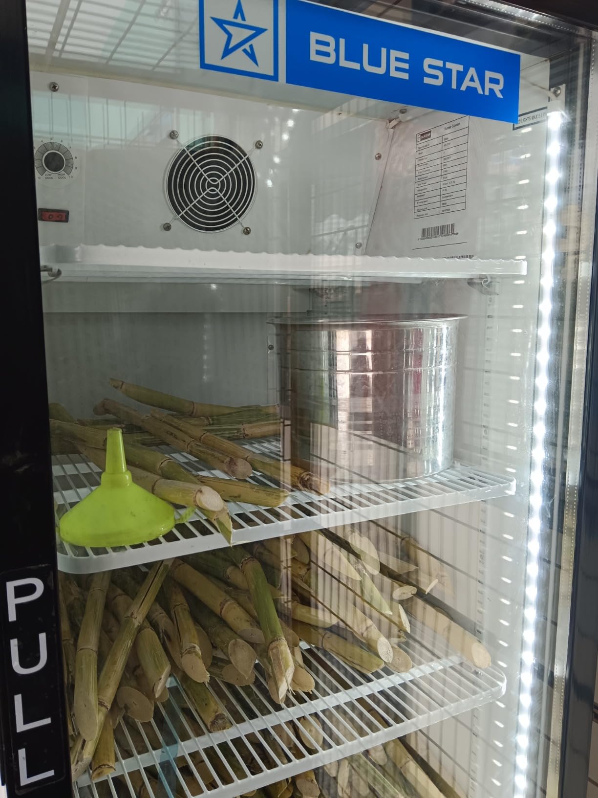 BLUE STAR SC375F 375 Liter Visi Cooler : Amazon.in: Home & Kitchen