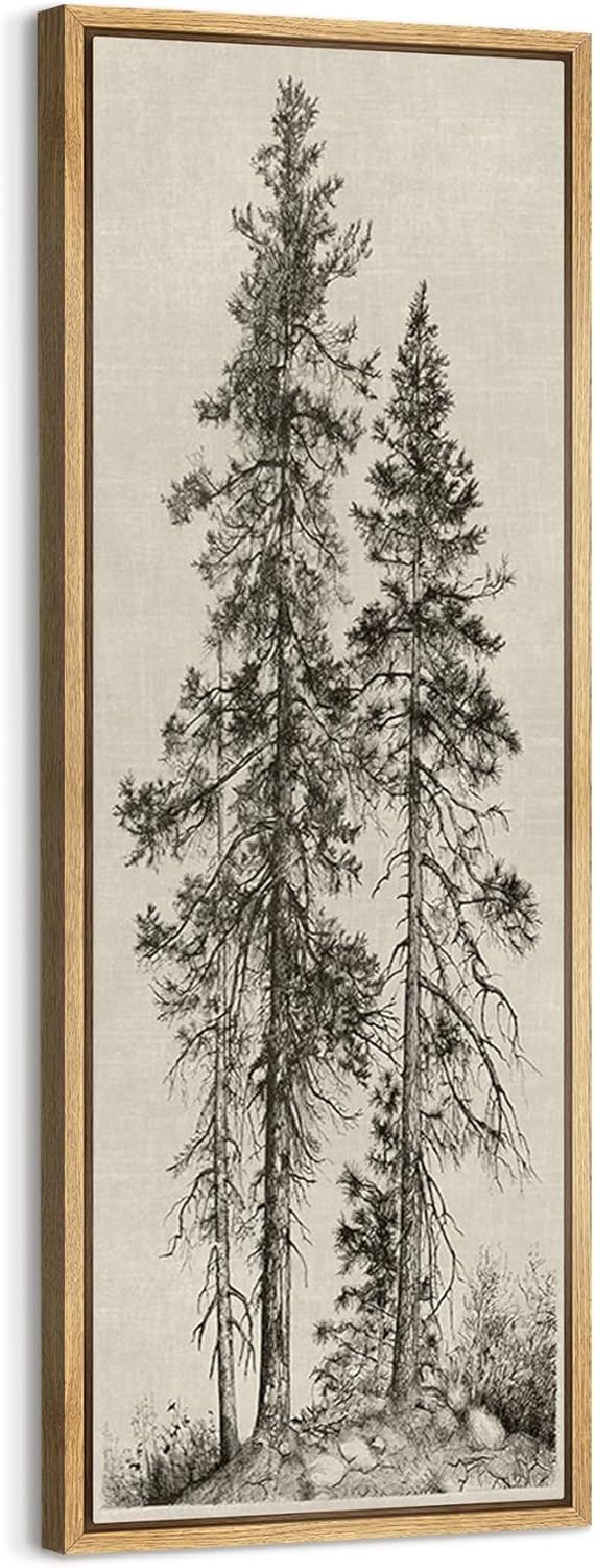 Amazon.com: SIGNFORD Large Framed Canvas Vintage Pine Trees Drawing ...