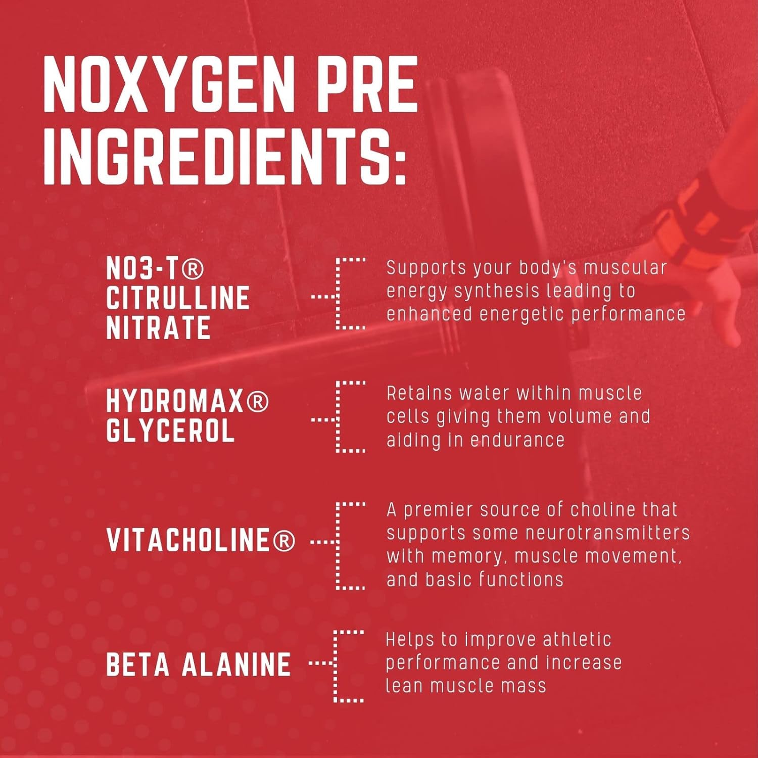 Purus Labs NOXygen Polvo de preentrenamiento Amplificador de flujo ...