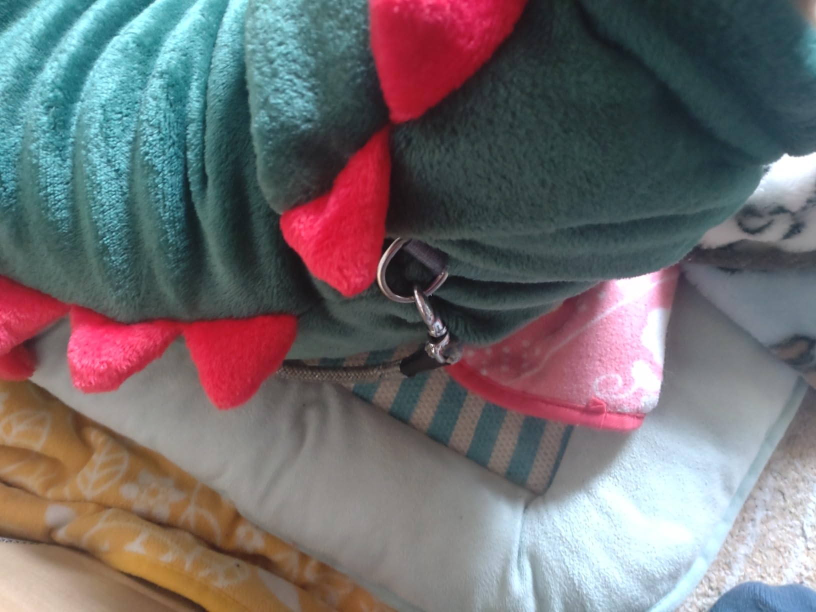 Amazon | AIYOI 犬 服 ペット コスプレ 2025年 巳年 【防寒着 暖かい 普段着 着脱便利】 被り物 龍に変身 サンゴフリース 脱毛保護 小型犬 中型犬 インスタ映え SNS ...