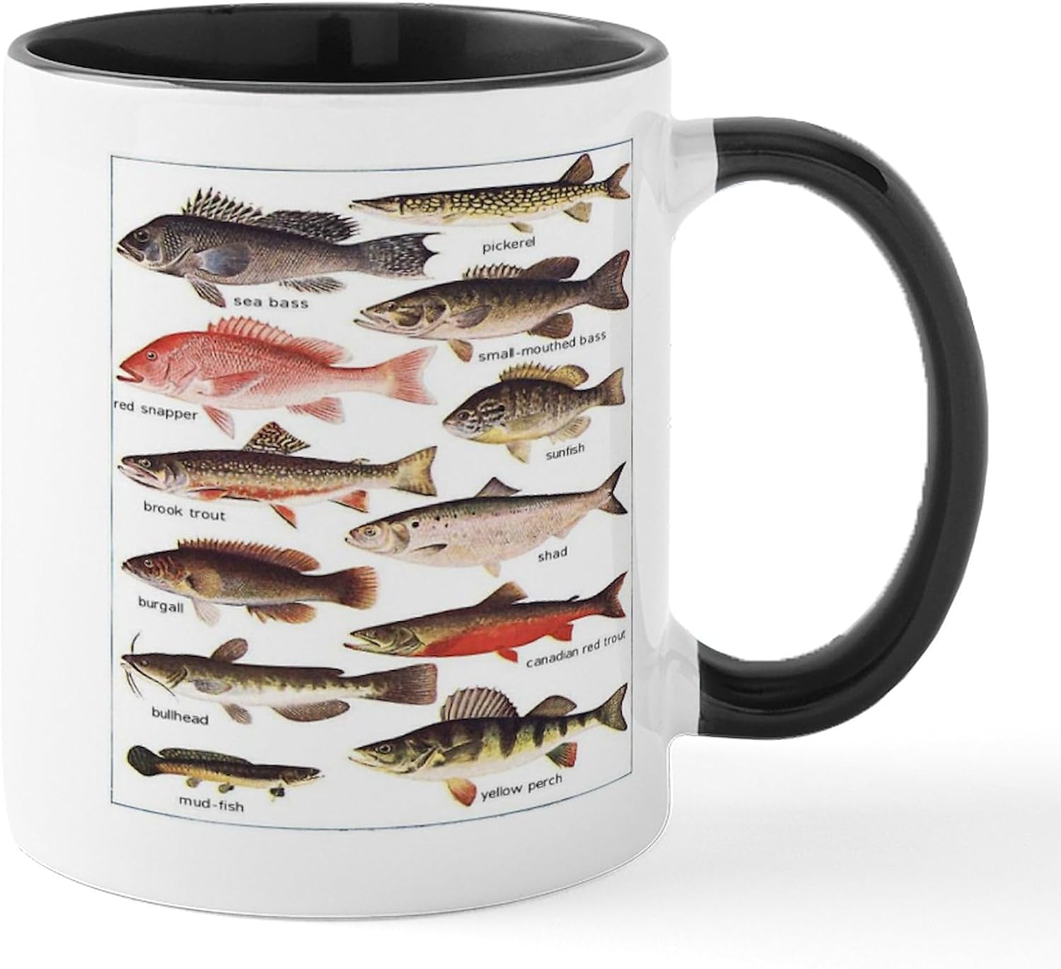 Amazon.com | CafePress Fish Mugs 11 oz (325 ml) Ceramic Coffee Mug ...