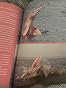 Strange Creatures: Exploring the Wonderful and Weird Animals that Share ...