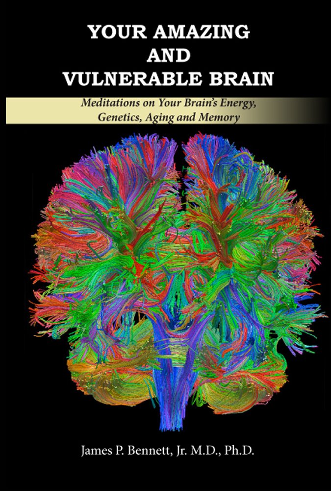 Your Amazing and Vulnerable Brain: Meditations on Your Brain's Energy ...