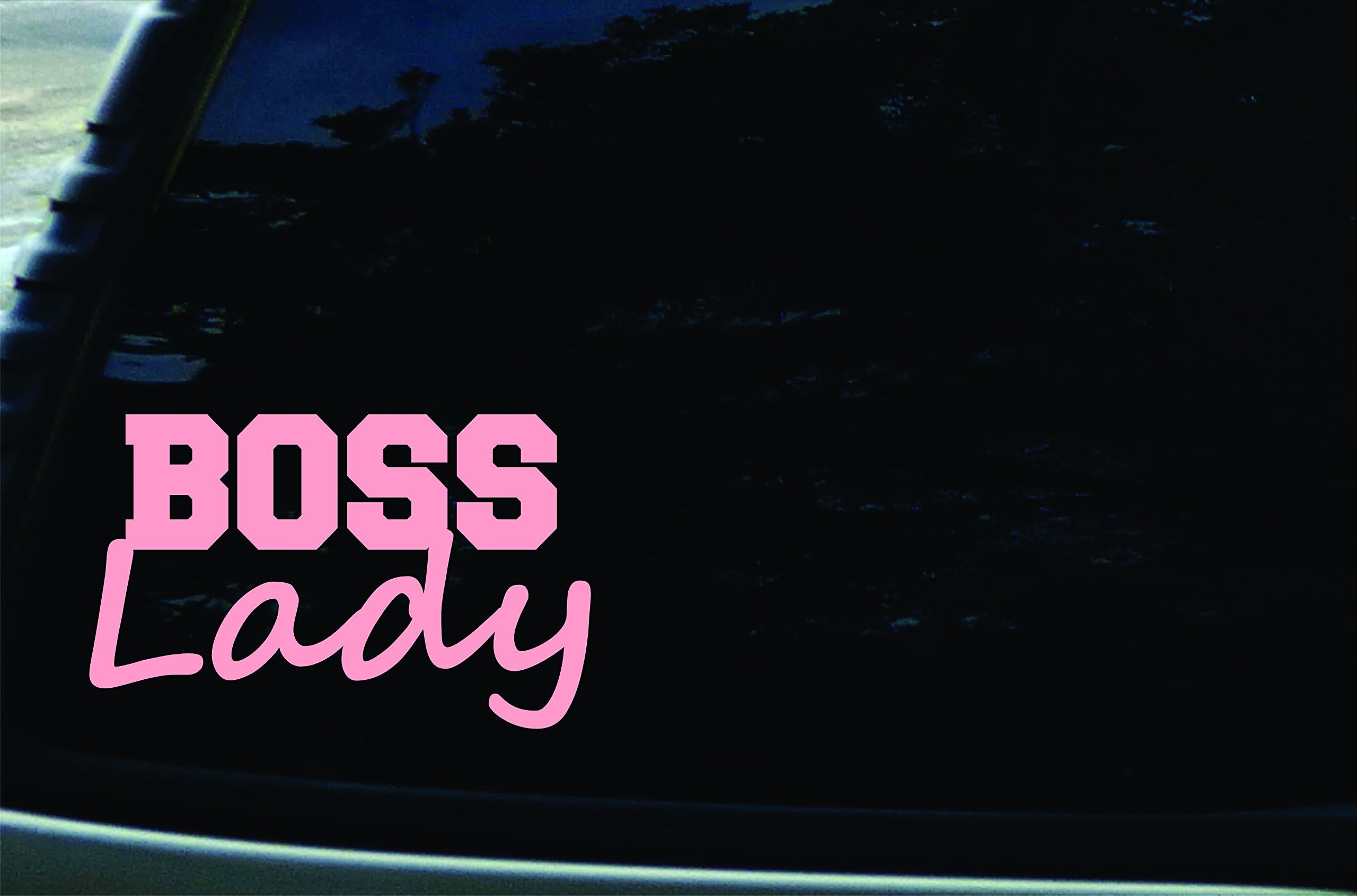 Amazon.com - 6" X 2.5" I was Cool Once. Now I Drive a Minivan. Vinyl ...