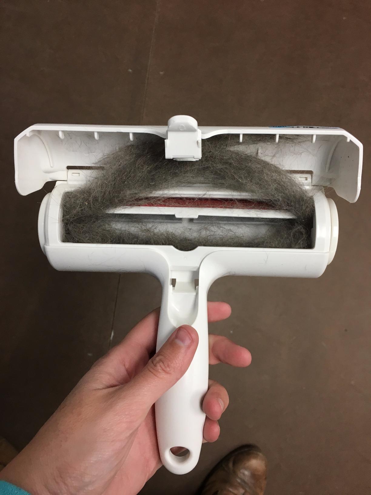 Amazon.com: Pledge Fabric Sweeper for Pet Hair, 1 sweeper : Home & Kitchen