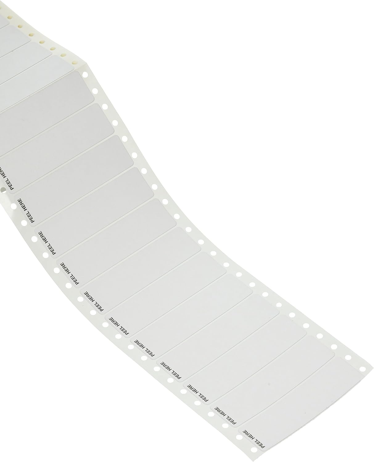 Amazon.com : Compulabel Pinfeed Labels Fanfold Permanent Adhesive, 3 1/ ...