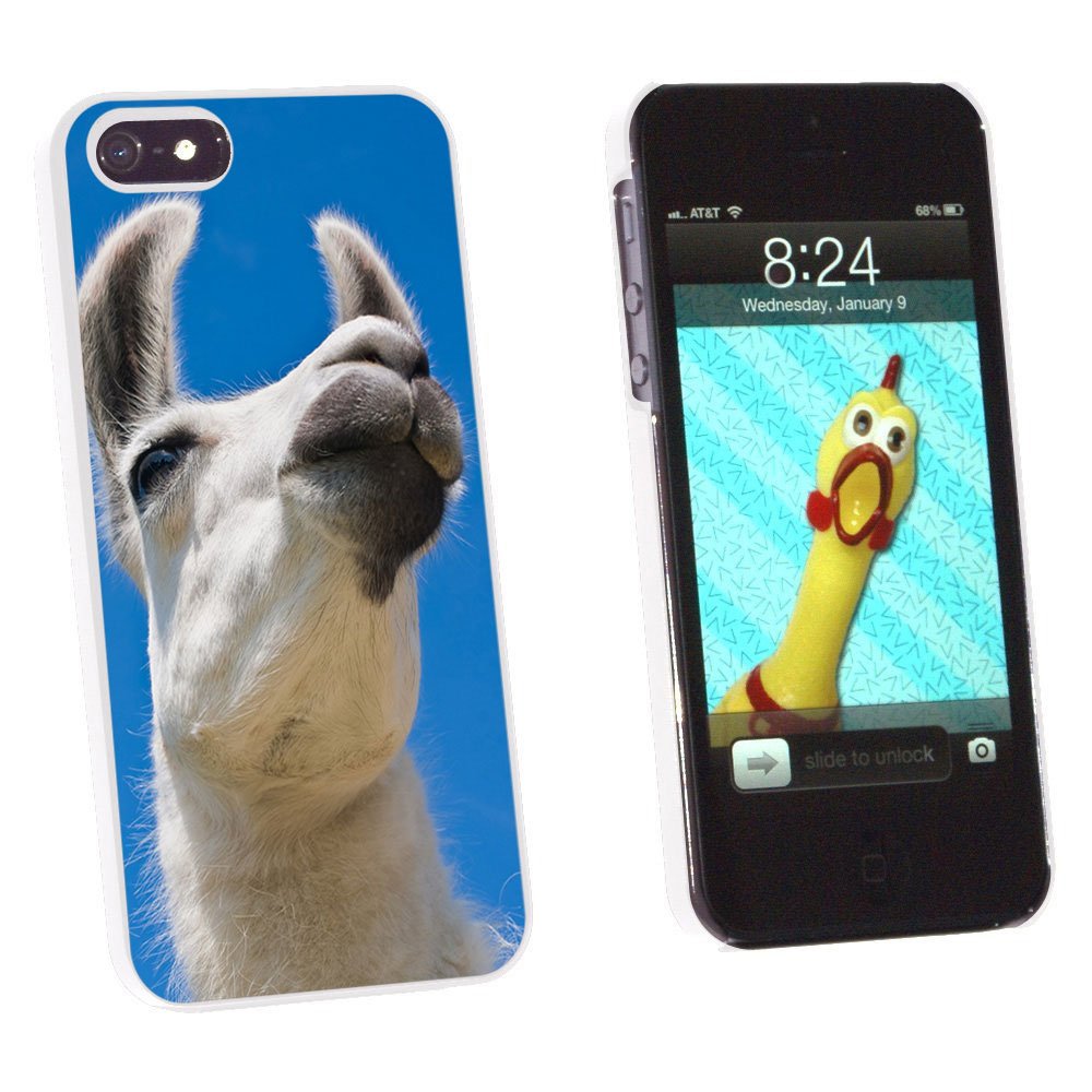 Iphone 5 Graphic