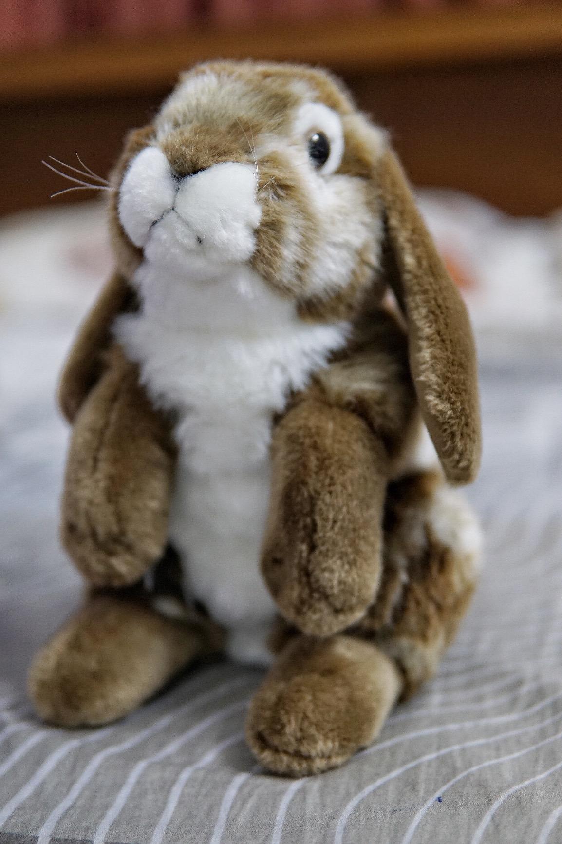 Buy Hamleys Rabbit Soft Toy (Brown) Online at Low Prices in India ...