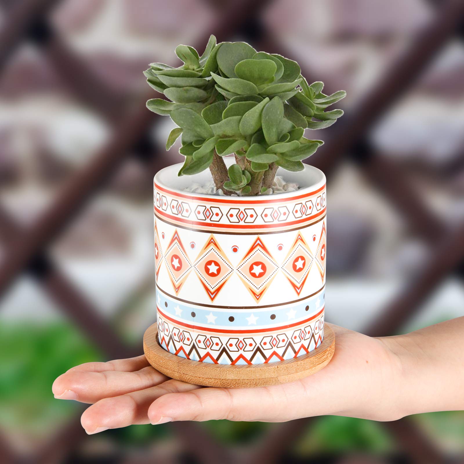 Snapklik.com : ZOUTOG Succulent Pots 6 Pack, 3 Inch Colorful Ceramic ...
