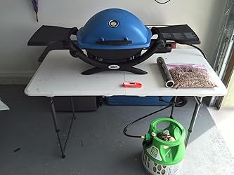 Amazon.com : Weber Adapter Hose for Weber Q-Series and Gas Go-Anywhere ...