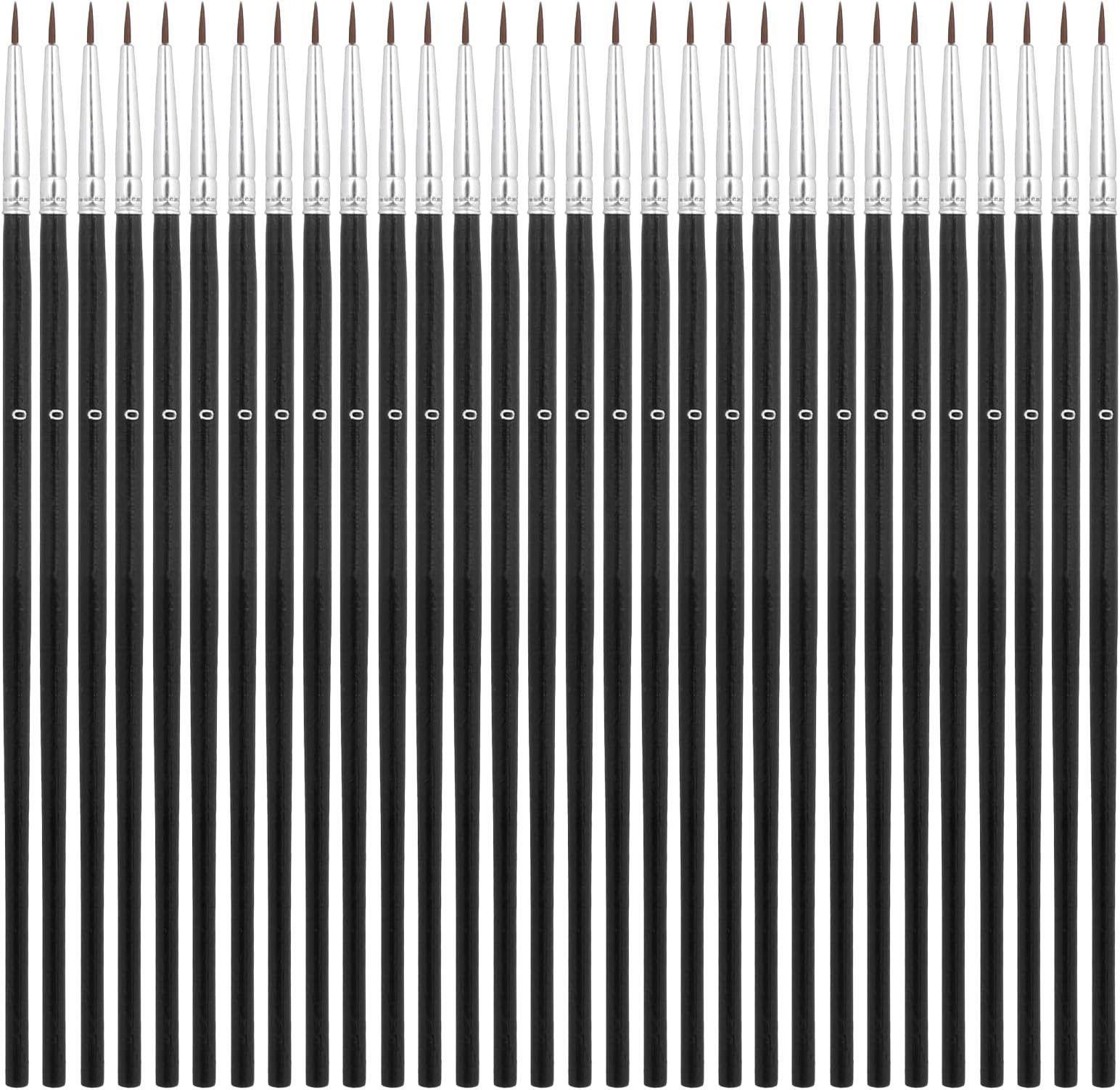 Amazon.com: Anezus Tiny Detail Paint Brushes 30 Pcs Micro Paint Brushes ...