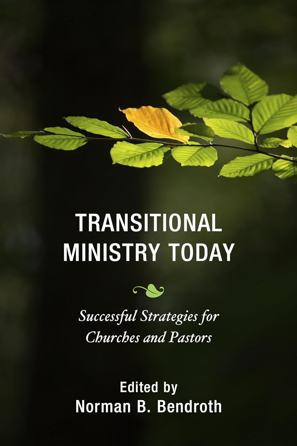 Transitional Ministry Today: Successful Strategies for Churches and ...