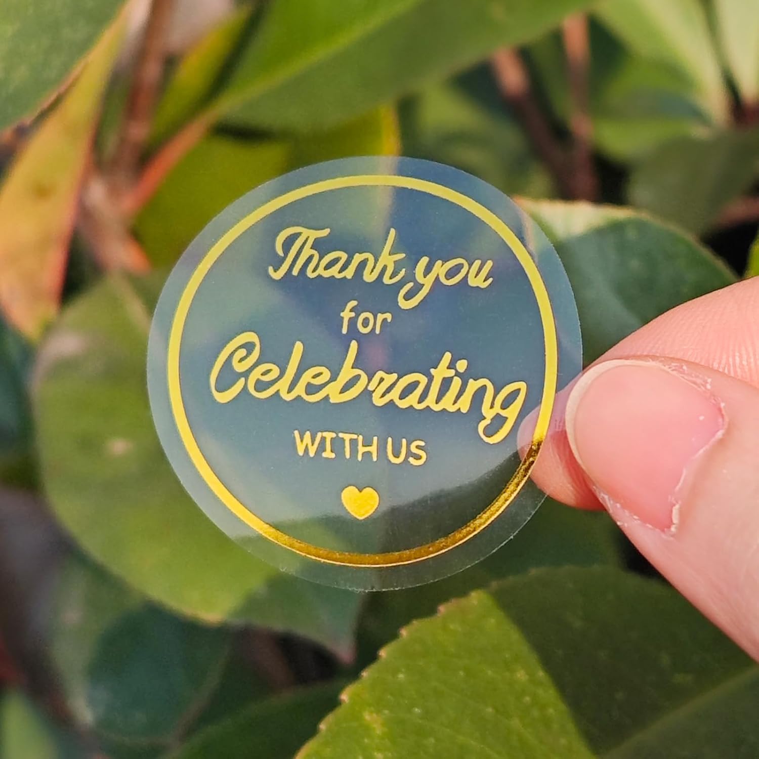 Amazon.com : Thank You for Celebrating with Us Sticker Roll 500 Pcs ...