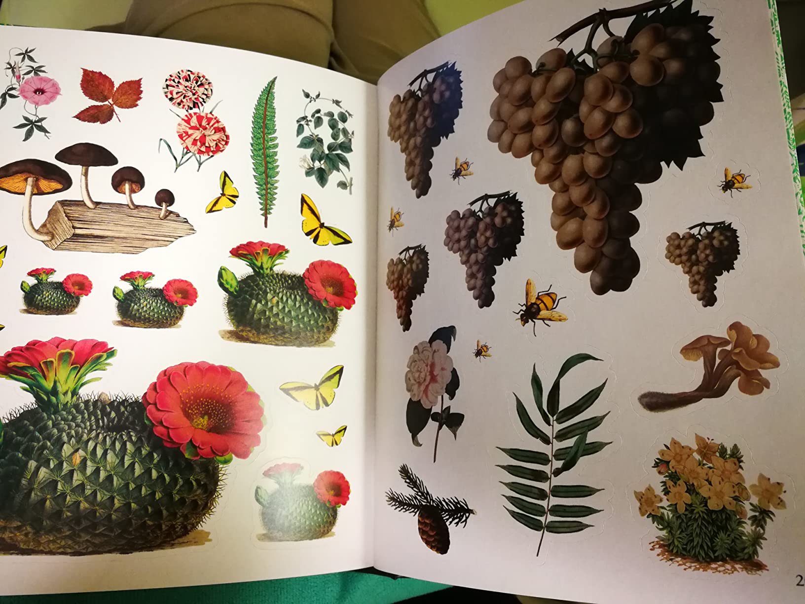 The Botanist's Sticker Anthology: With More Than 1,000 Vintage Stickers ...