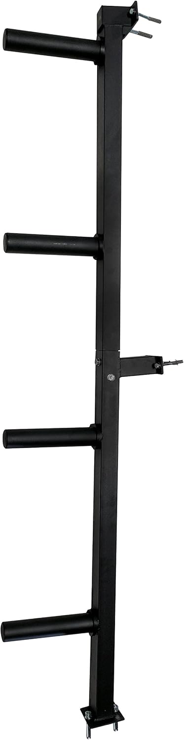 Titan Wall Mounted 4-Peg Olympic Bumper Plate Weight Rack Storage ...