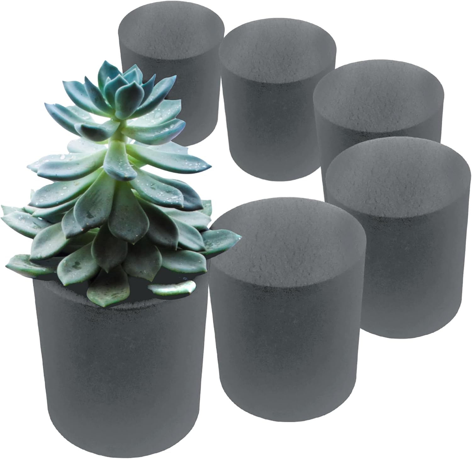 Amazon.com: XCEL Floral Foam Blocks - Reusable, Weather Resistant Foam ...