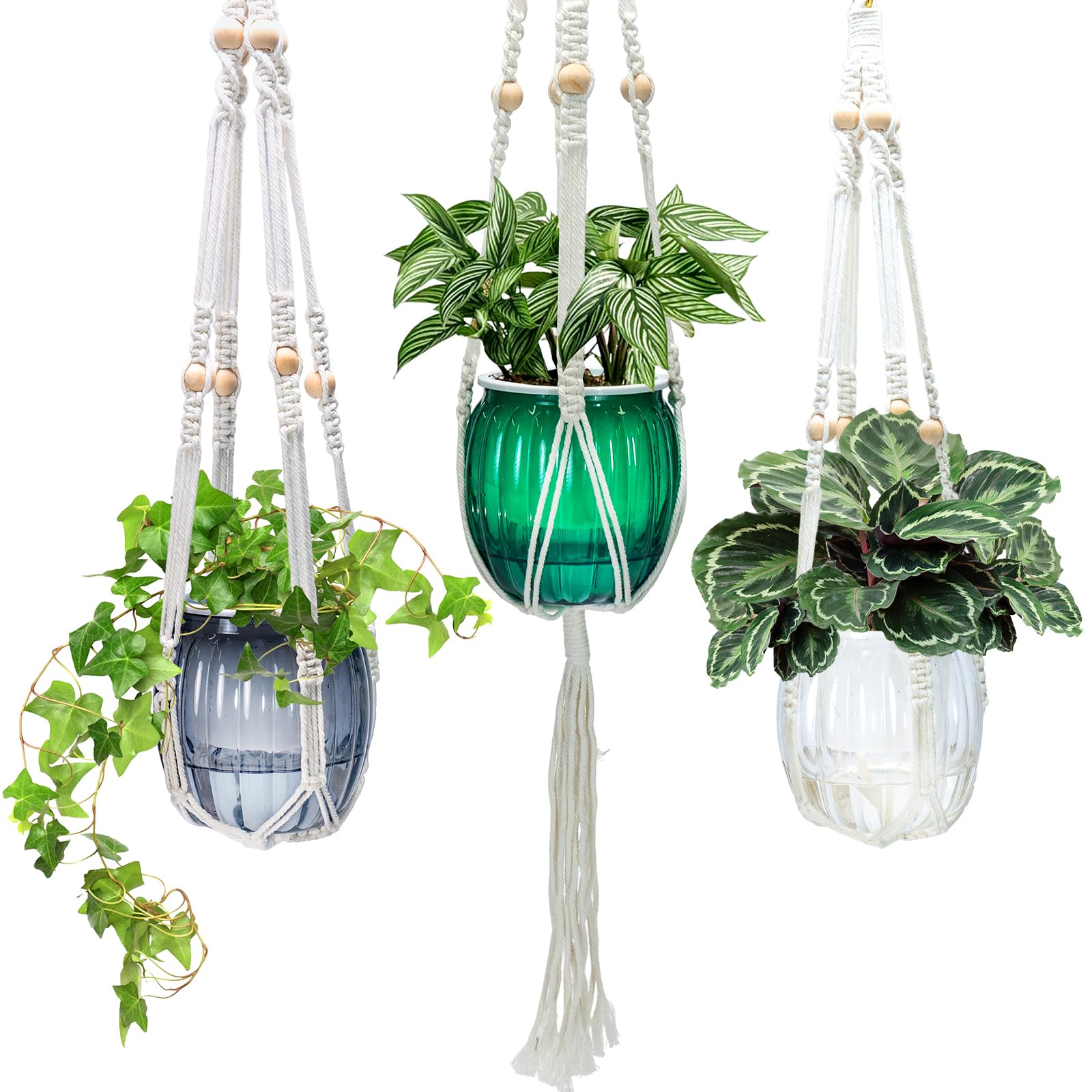 Amazon.com: Koalaime Small Hanging Planters Self Watering 5 Inch, 3 Set ...