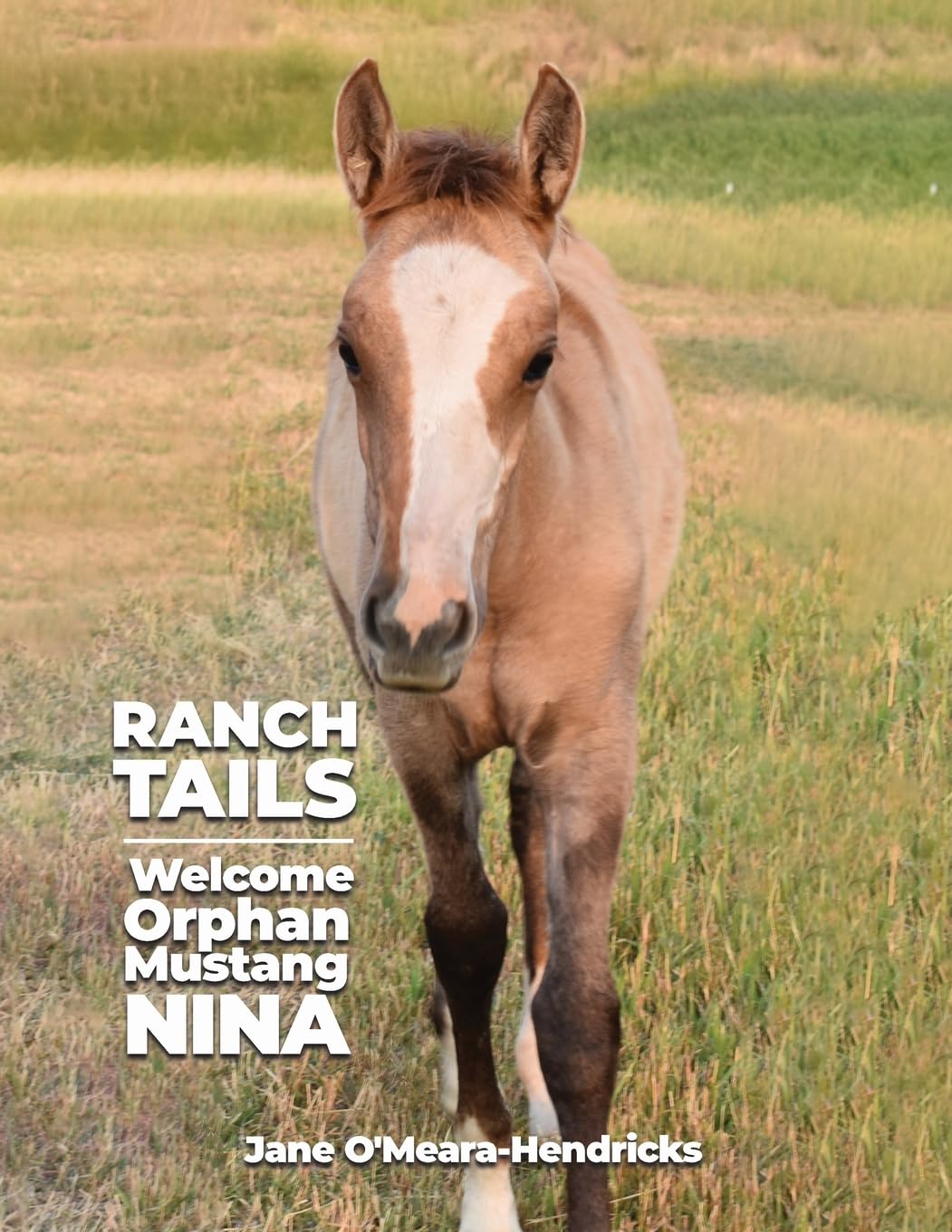 Ranch Tails: Welcome Orphan Mustang Nina: O'Meara-Hendricks, Jane ...