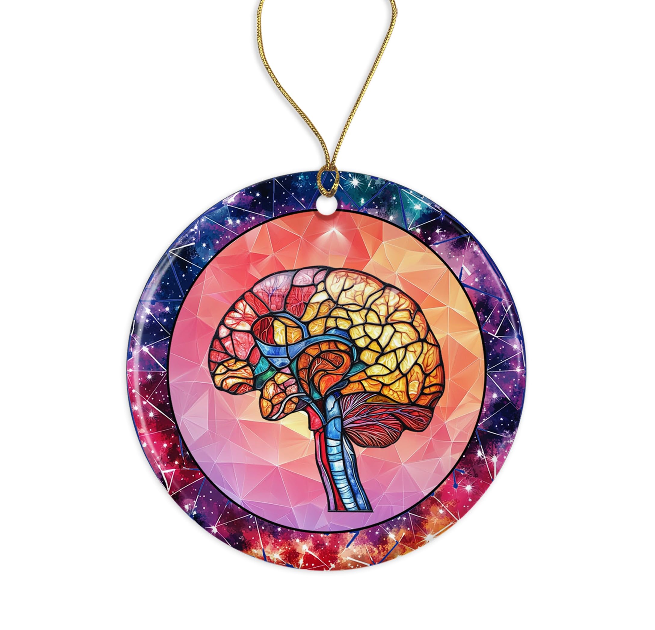 Amazon.com: Brain Stained Glass Ornament - Medically Gifts - Brain ...