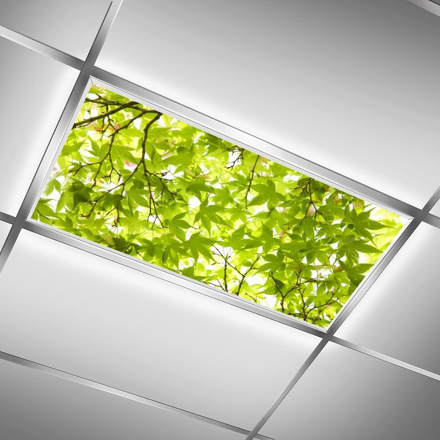 C.IOPMNU 2 Pack Fluorescent Light Cover for Classroom, Green Tree Leaf ...