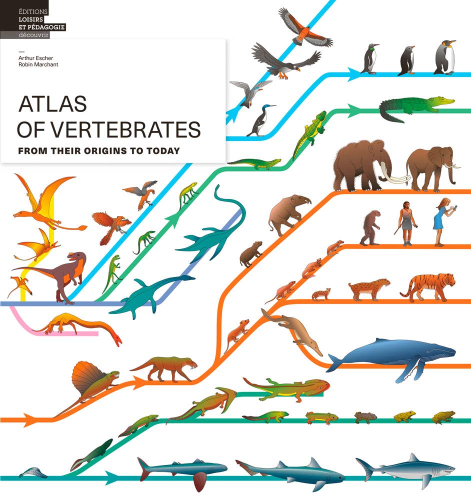 Atlas of Vertebrates: From their origins to today: Amazon.co.uk: Escher ...
