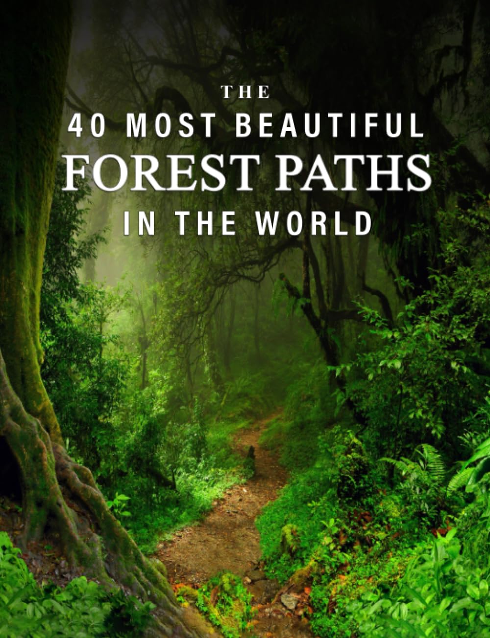 The 40 Most Beautiful Forest Paths in the World: A full color picture ...
