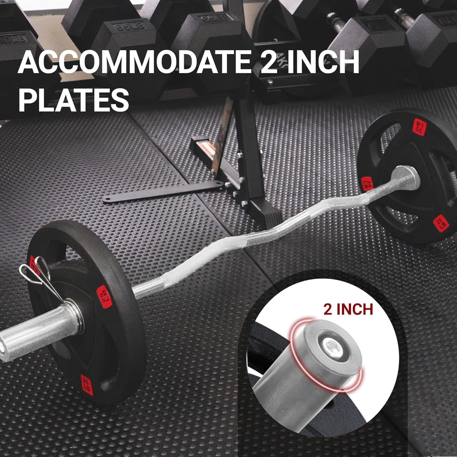 Snapklik.com : Olympic EZ Curl Barbell Bar 47", 2-Inch Curl Bar For ...
